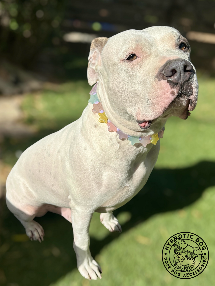 Pixie Stars Bead Collar – Hypnotic Dog