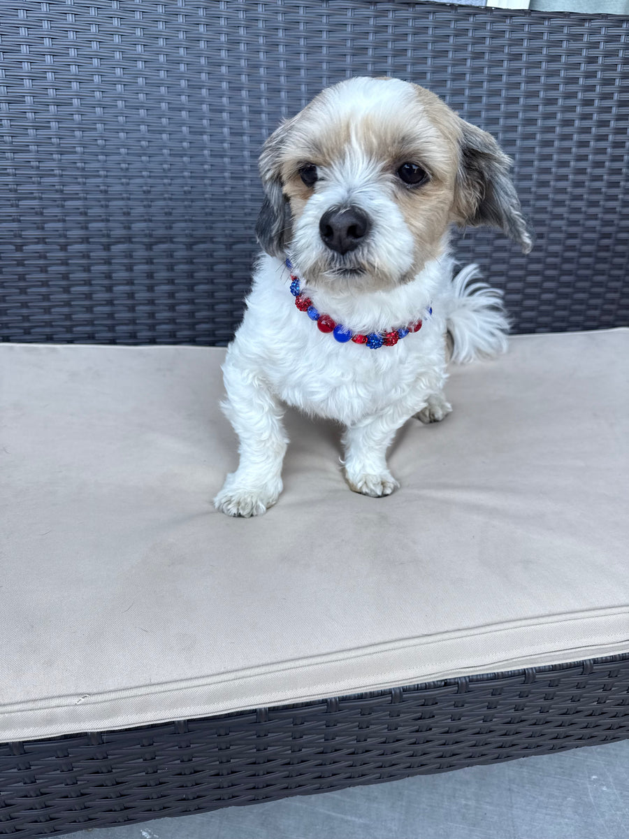 Star Spangled Glam MINI [Small Dog/Cat Bead Collar] – Hypnotic Dog