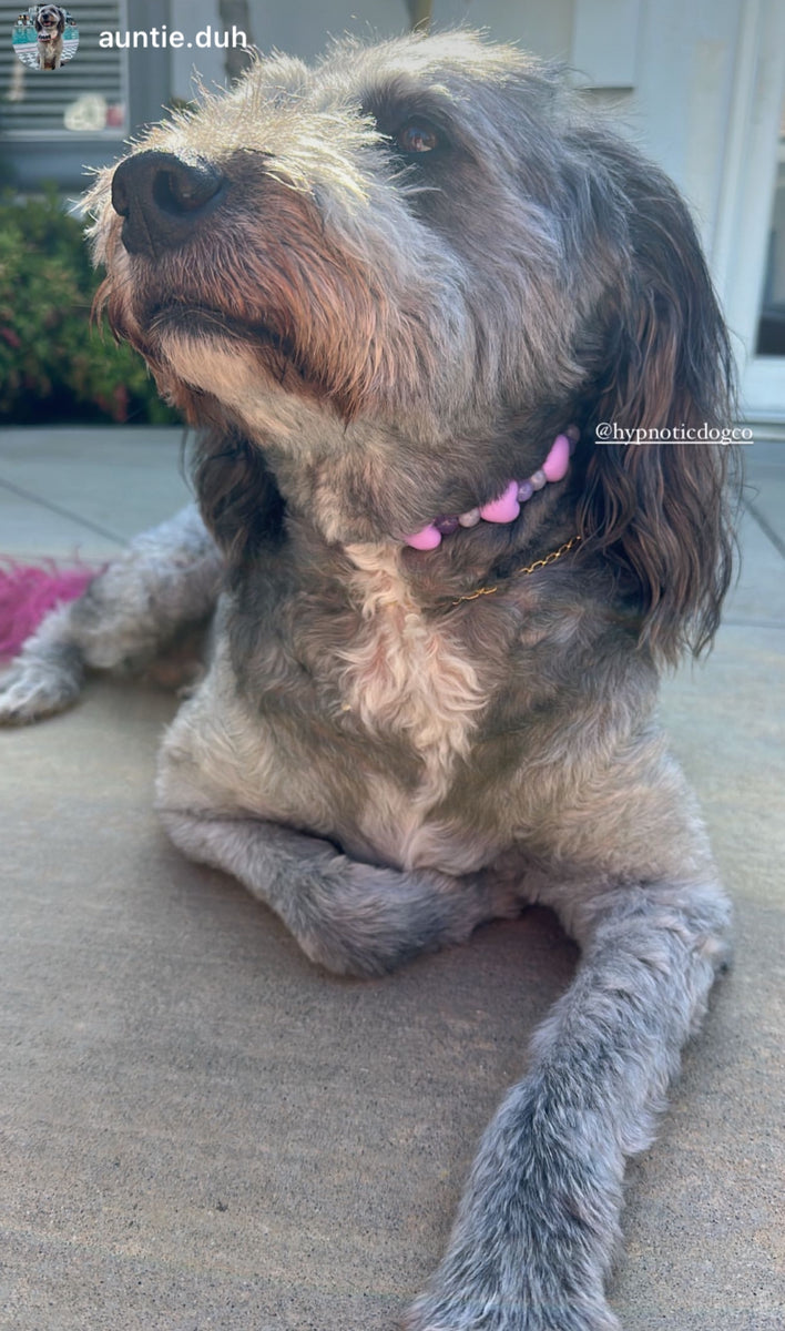 Lavender Duchess Hearts 💗 Bead Collar – Hypnotic Dog