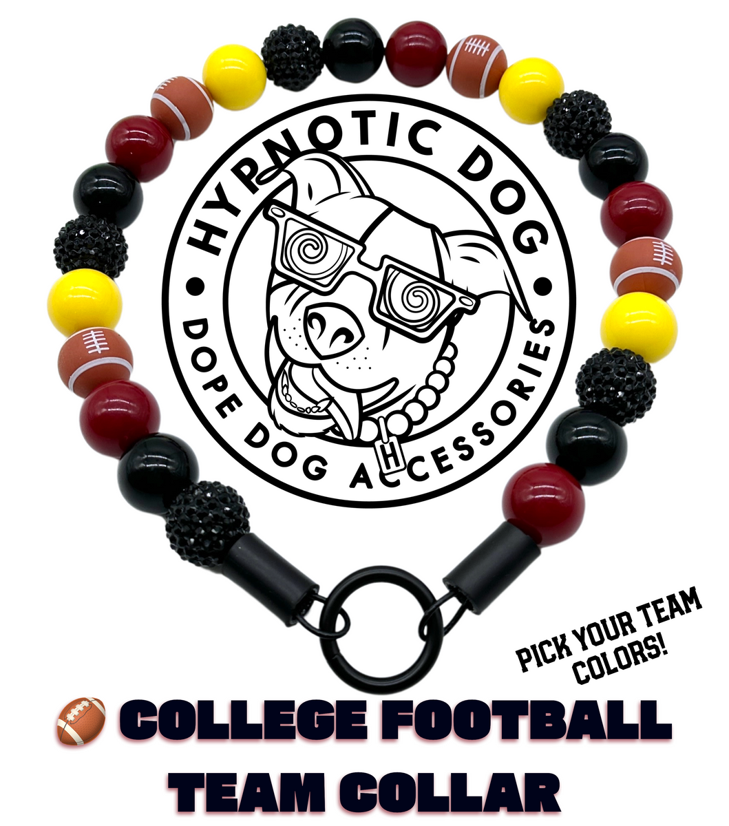 🏈 College Football Team Colors Bead Collar - Pick Your Team – Hypnotic Dog