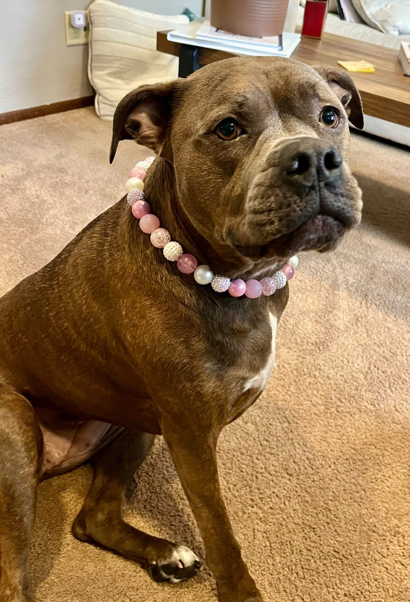 Pink Carnation Bead Collar – Hypnotic Dog