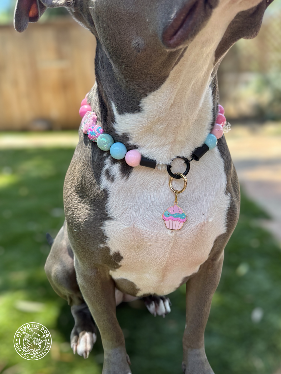 *NEW* Enamel Dog Personalized Name Tags – Hypnotic Dog