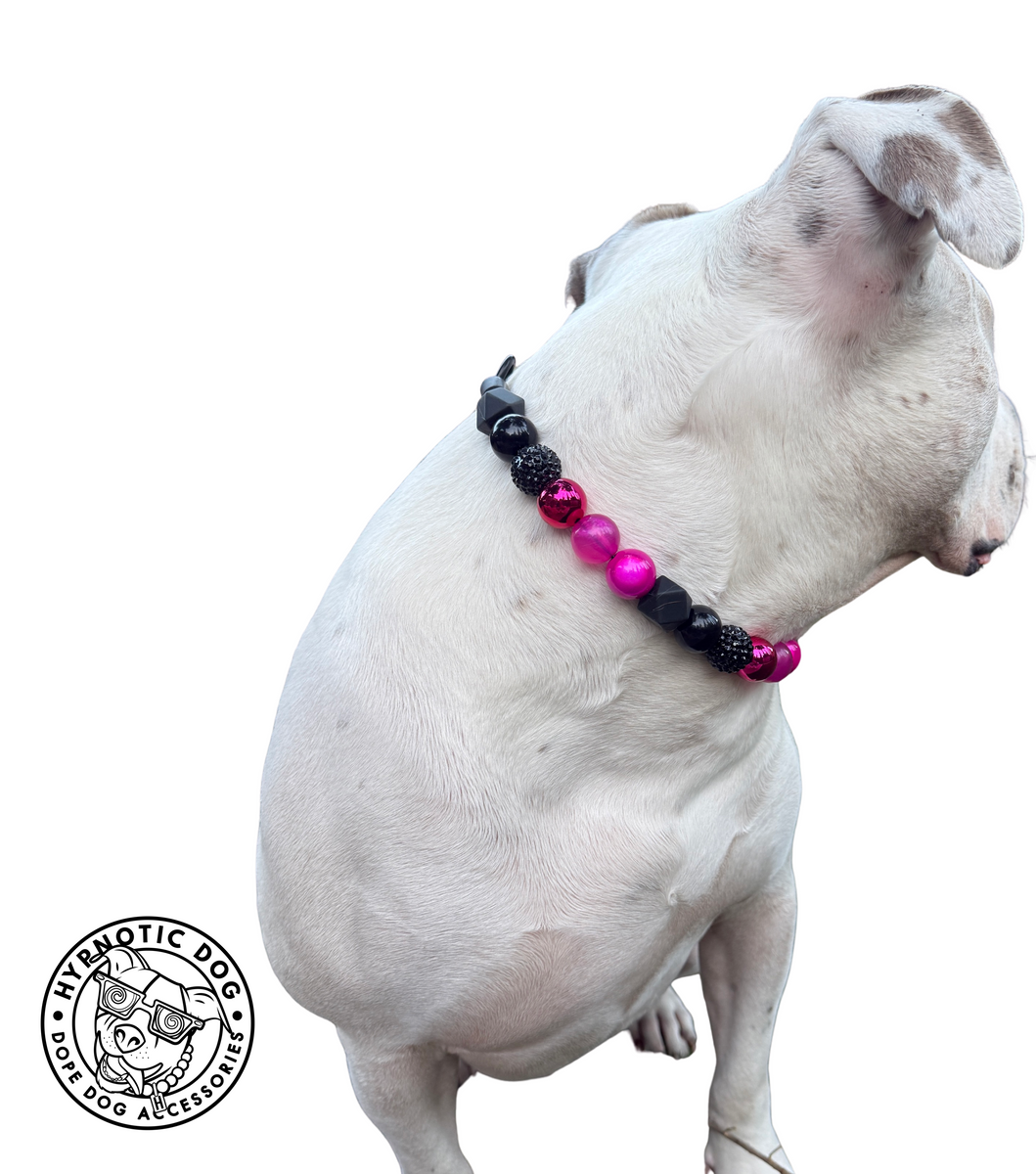 Hot Pink Nova 🖤🩷 Bead Collar – Hypnotic Dog
