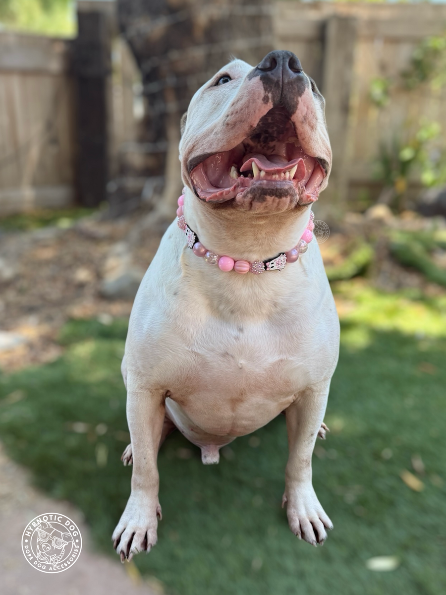 Pink Ghost Glam Bead Collar – Hypnotic Dog