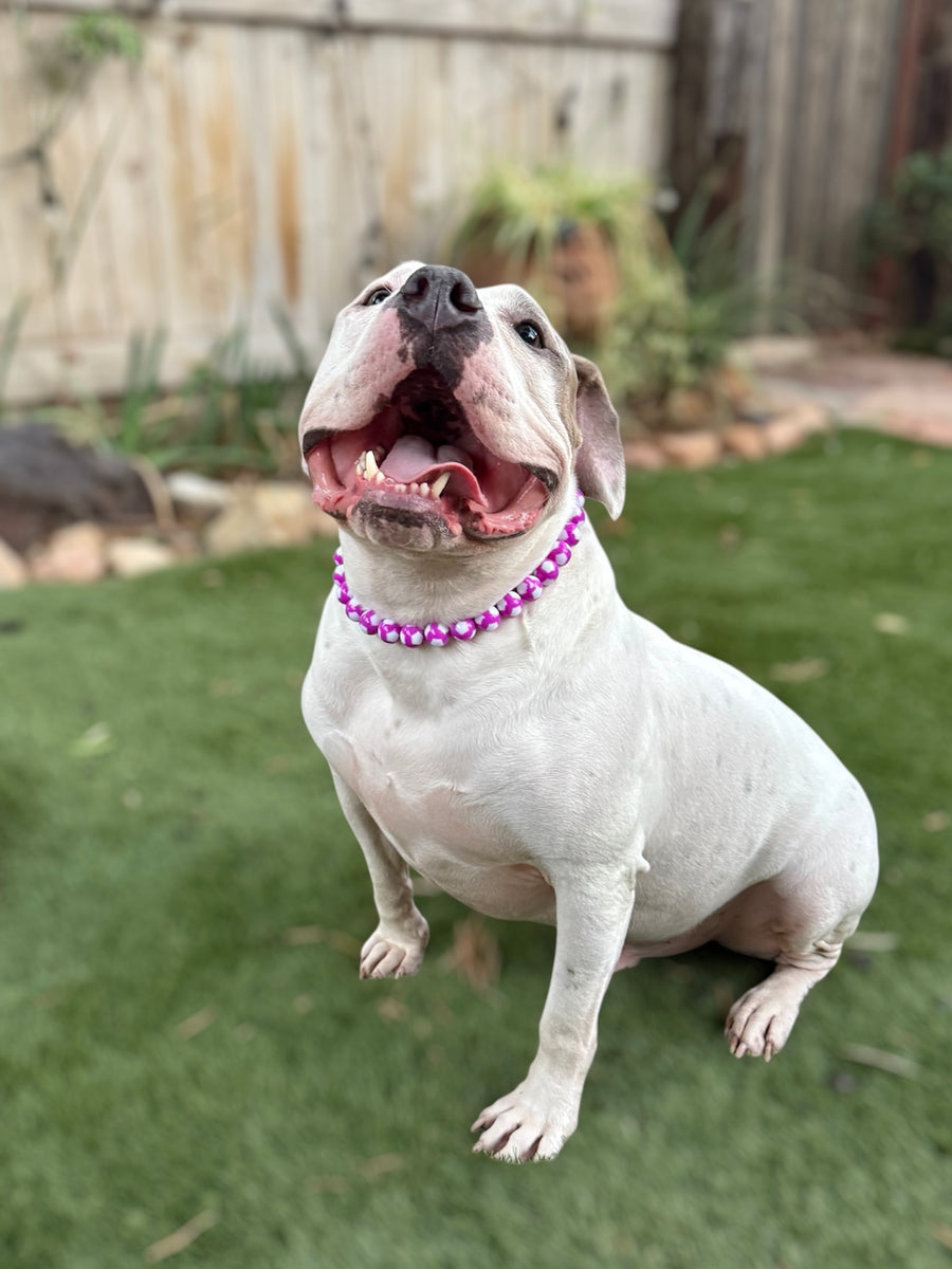 Purple Geo Bead Collar – Hypnotic Dog