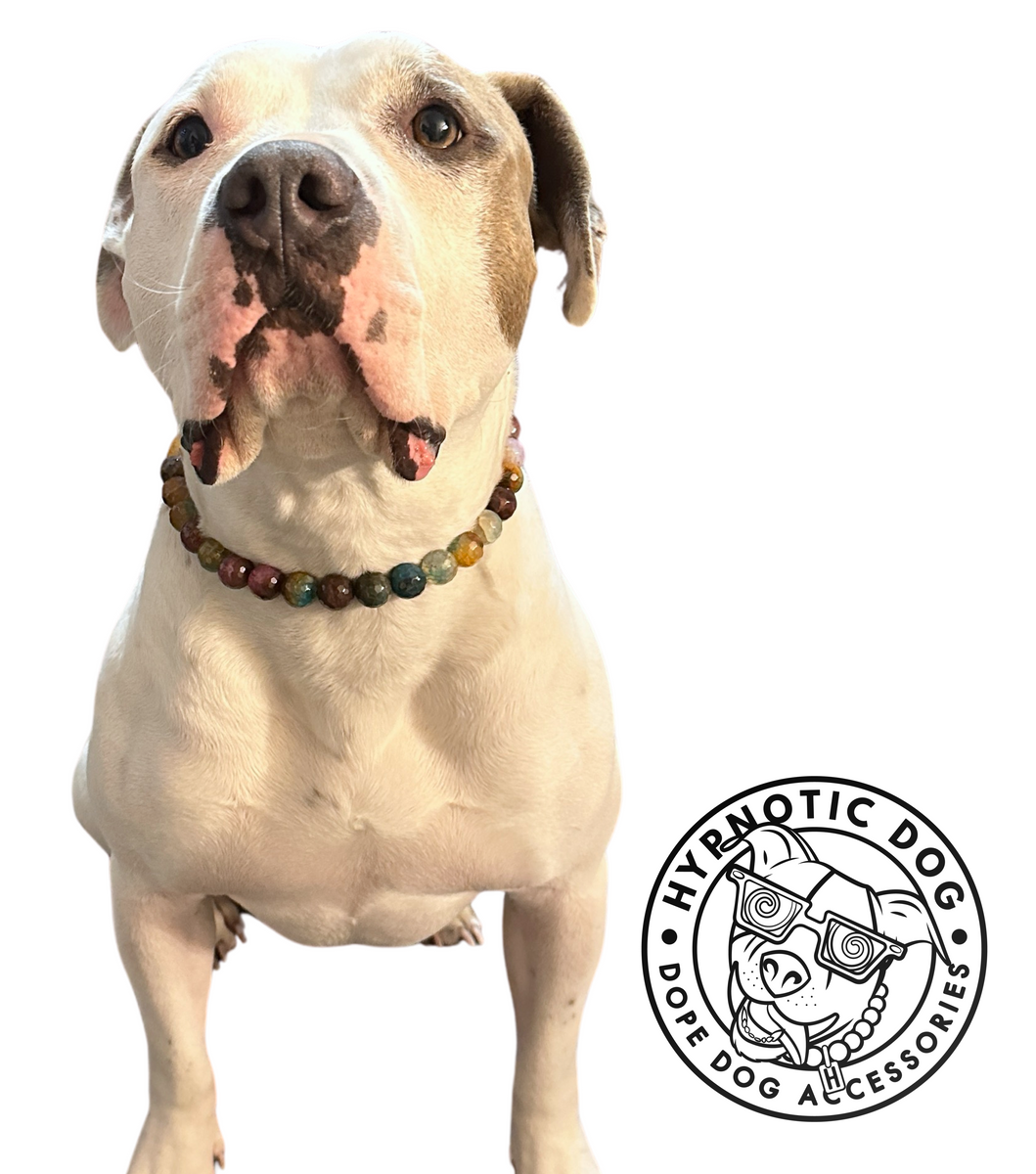 Underwater Grotto Agate Semi-precious Gem Bead Collar – Hypnotic Dog