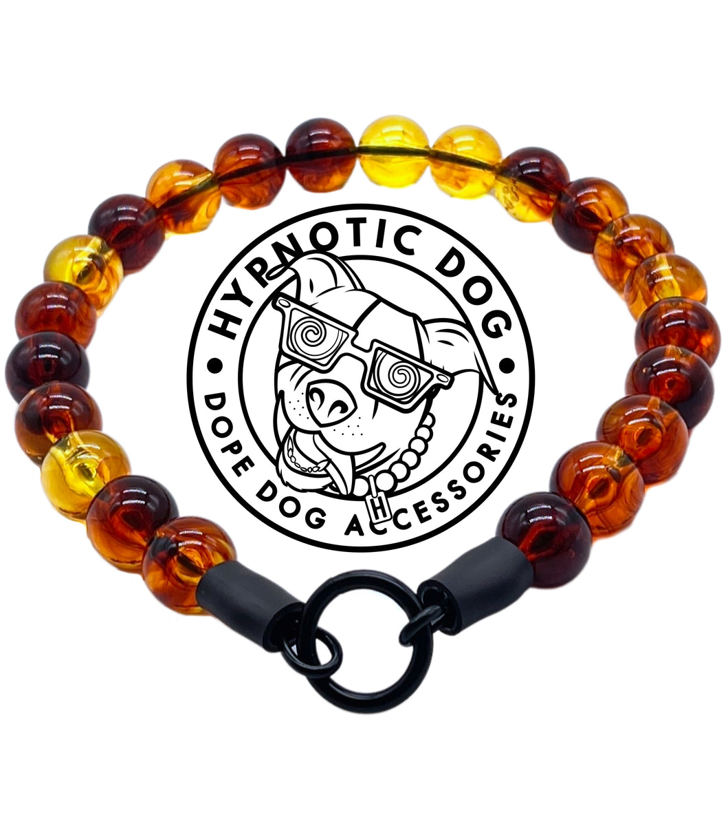 Amber Fire Acrylic Bead Collar – Hypnotic Dog