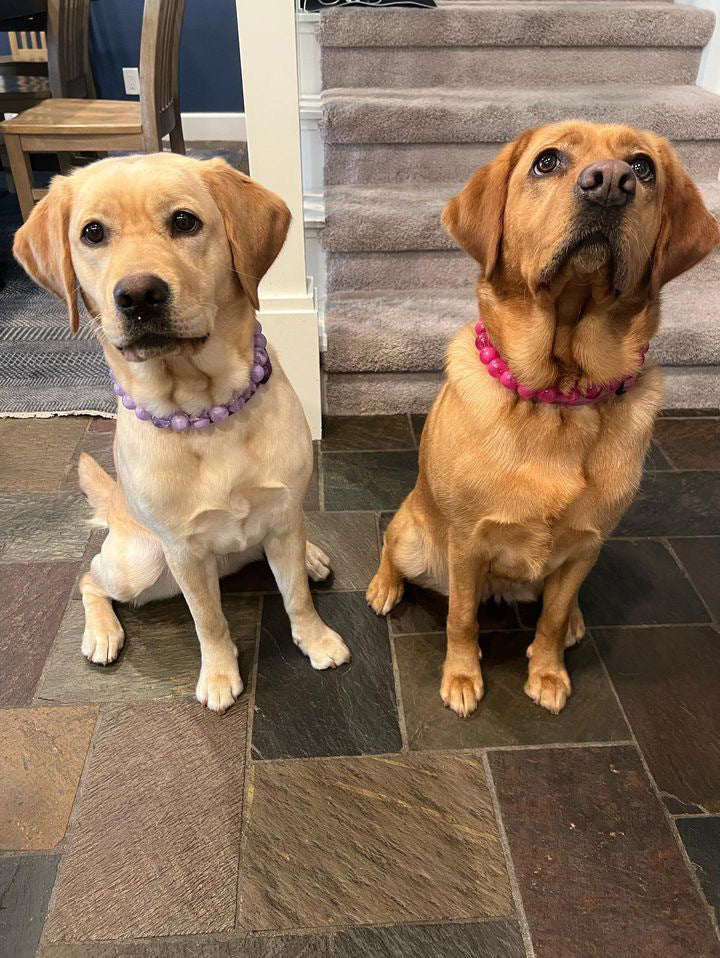 Lavender Clouds Acrylic Bead Collar – Hypnotic Dog