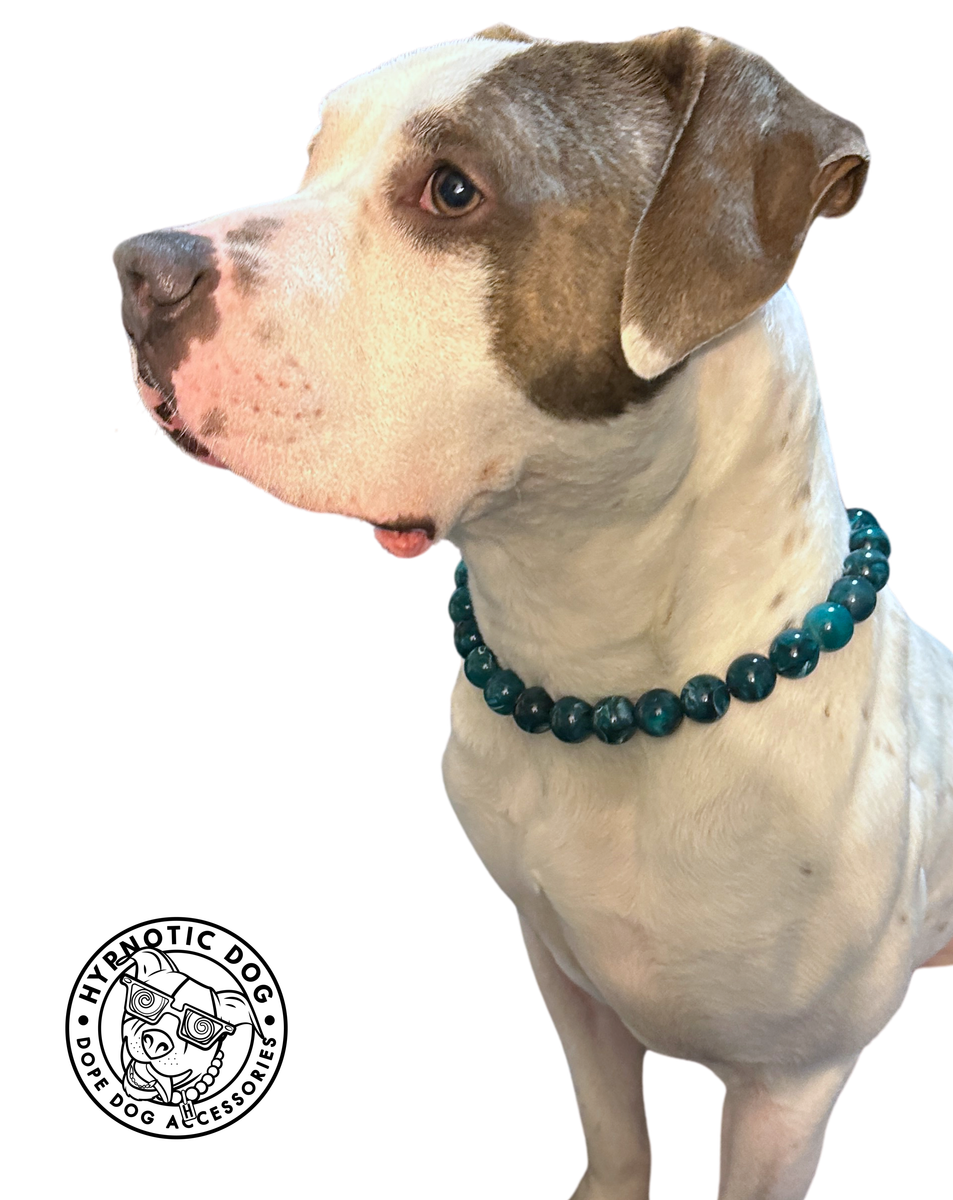 Teal Swirl Acrylic Bead Collar – Hypnotic Dog